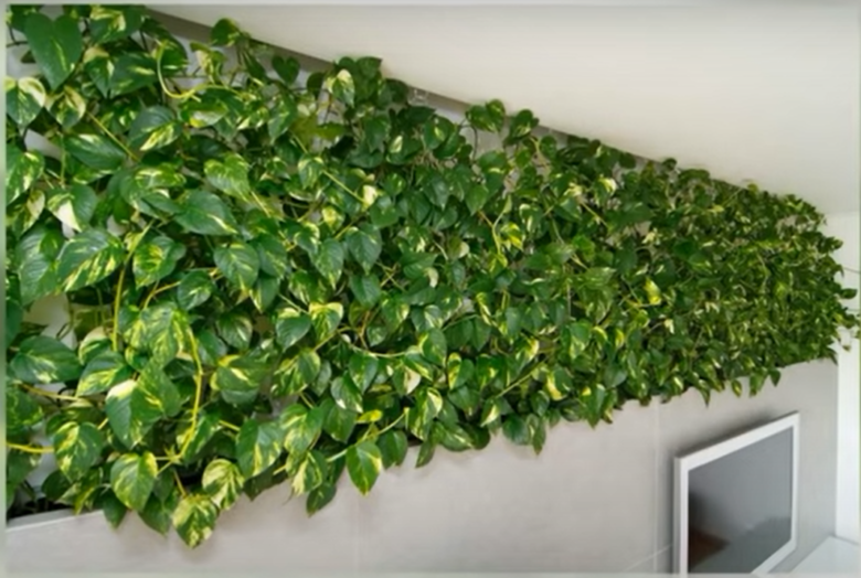 6 Ways to Decorate a High Ledge in the Living Room - HomeProfy