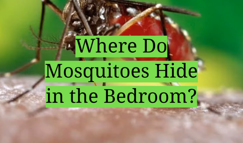 Where Do Mosquitoes Hide in the Bedroom? - HomeProfy