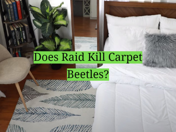 Dryer Venting Options: Everything You Should Know - HomeProfy